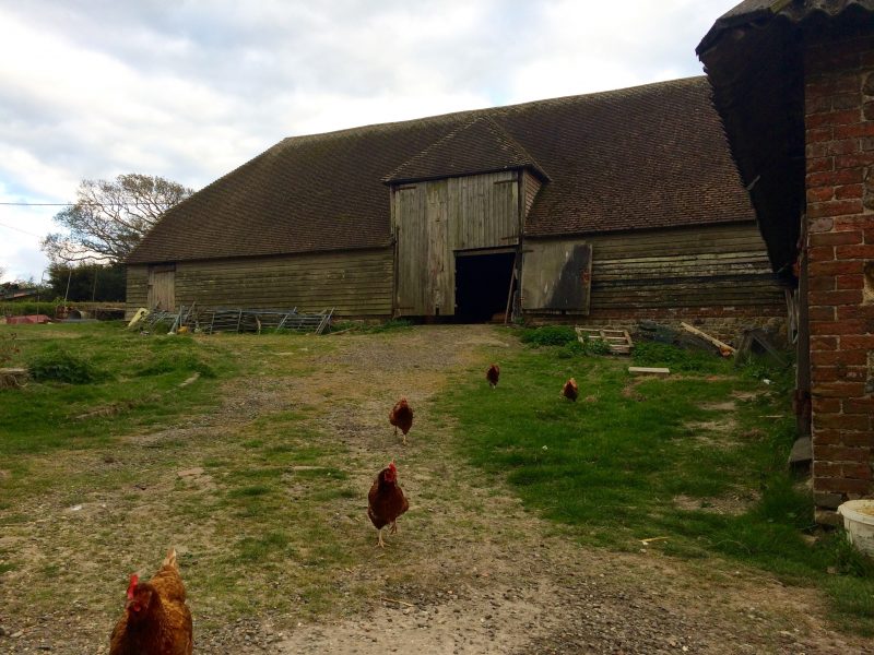 New Farm Location | Sea Views at Lunsford Farm | East Sussex