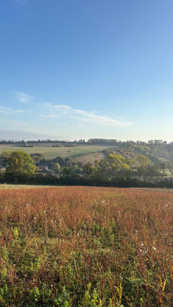 Austin Farm | For filming and photoshoots | Farm Locations