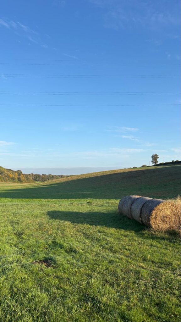 Austin Farm | For filming and photoshoots | Farm Locations
