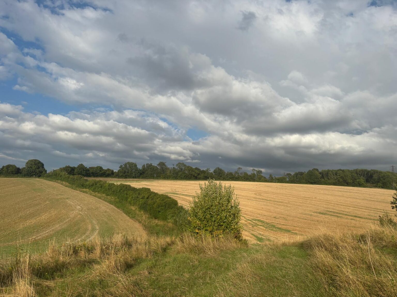 Austin Farm, DA4 - Farm Locations