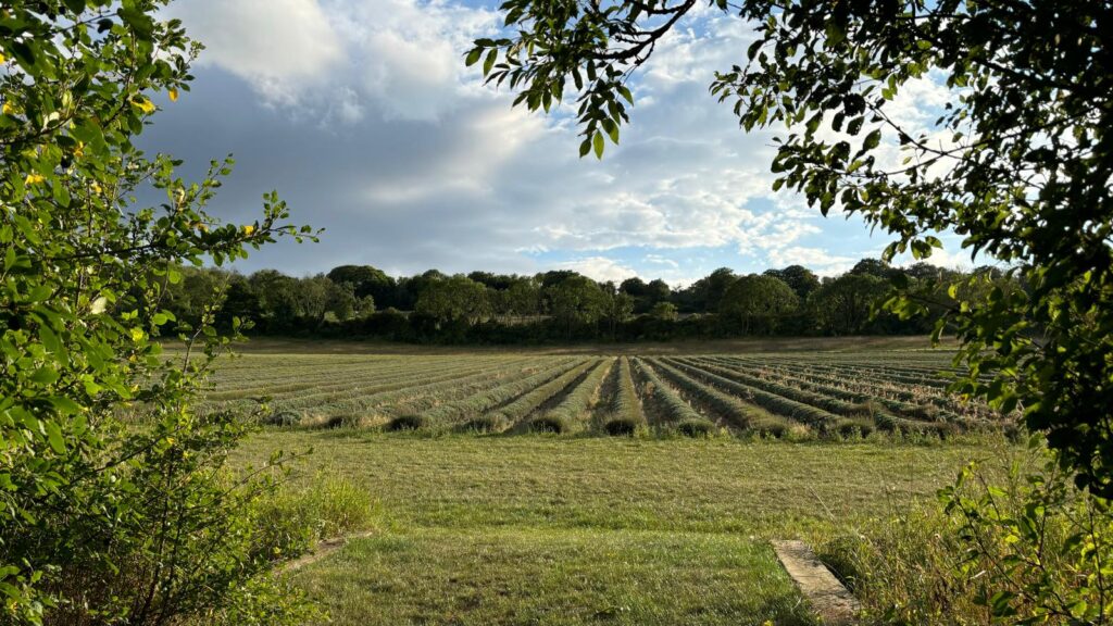 Austin Farm | For filming and photoshoots | Farm Locations