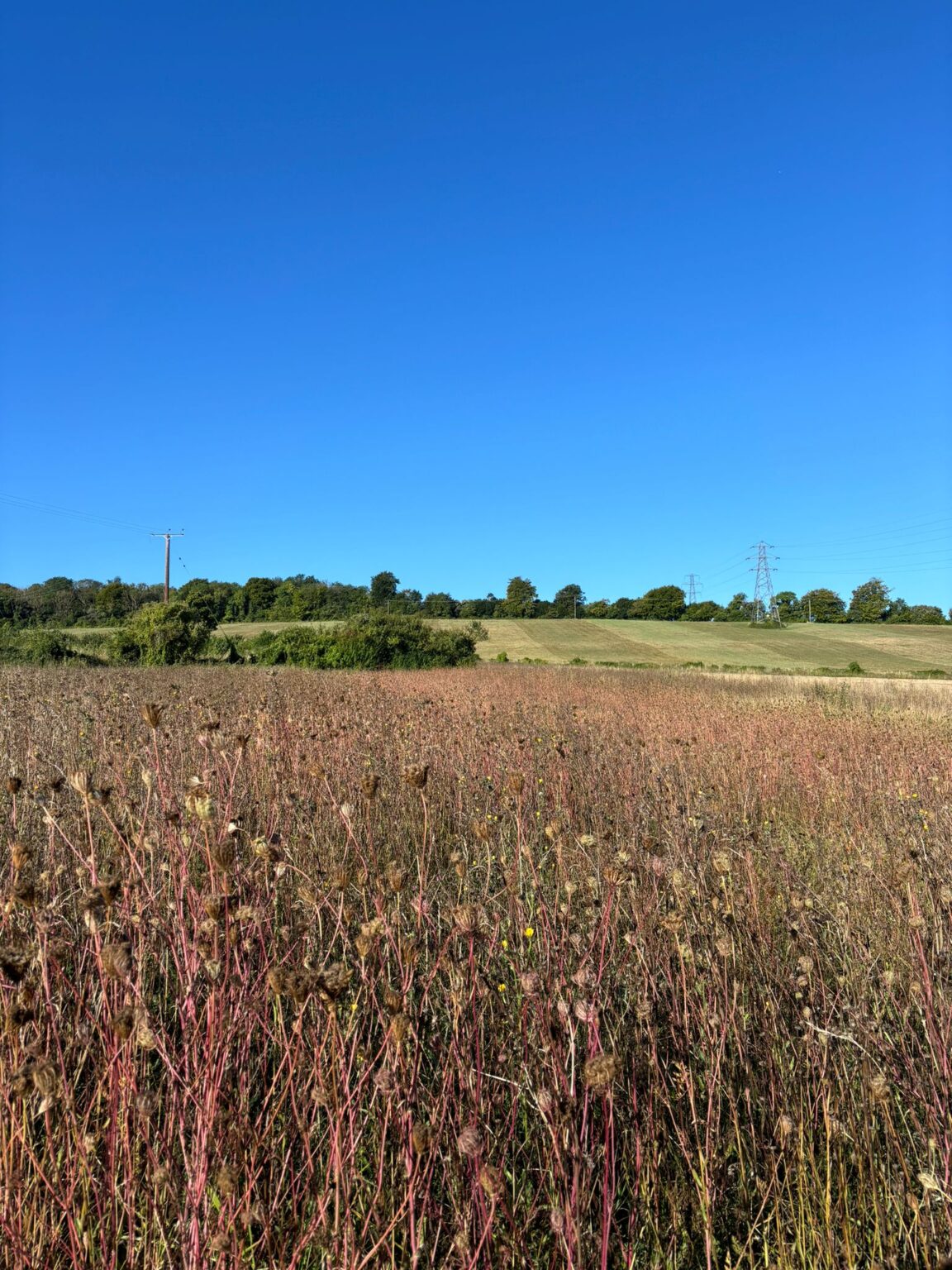 Austin Farm, DA4 - Farm Locations