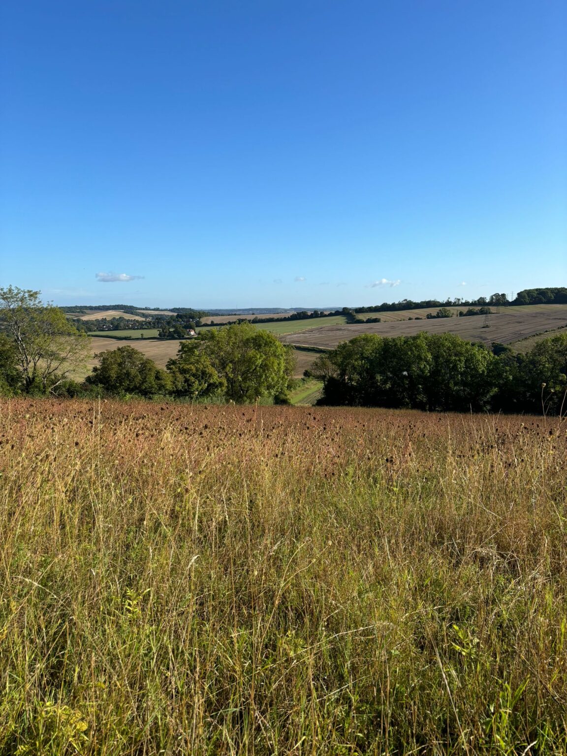 Austin Farm, DA4 - Farm Locations