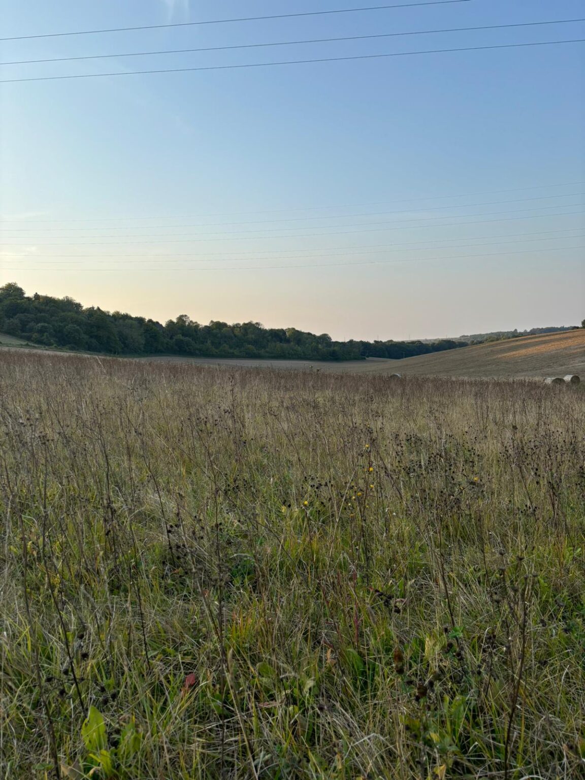 Austin Farm, DA4 - Farm Locations