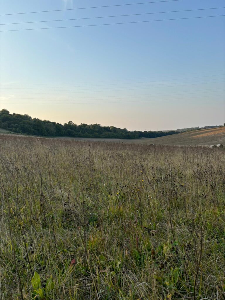Austin Farm | For filming and photoshoots | Farm Locations