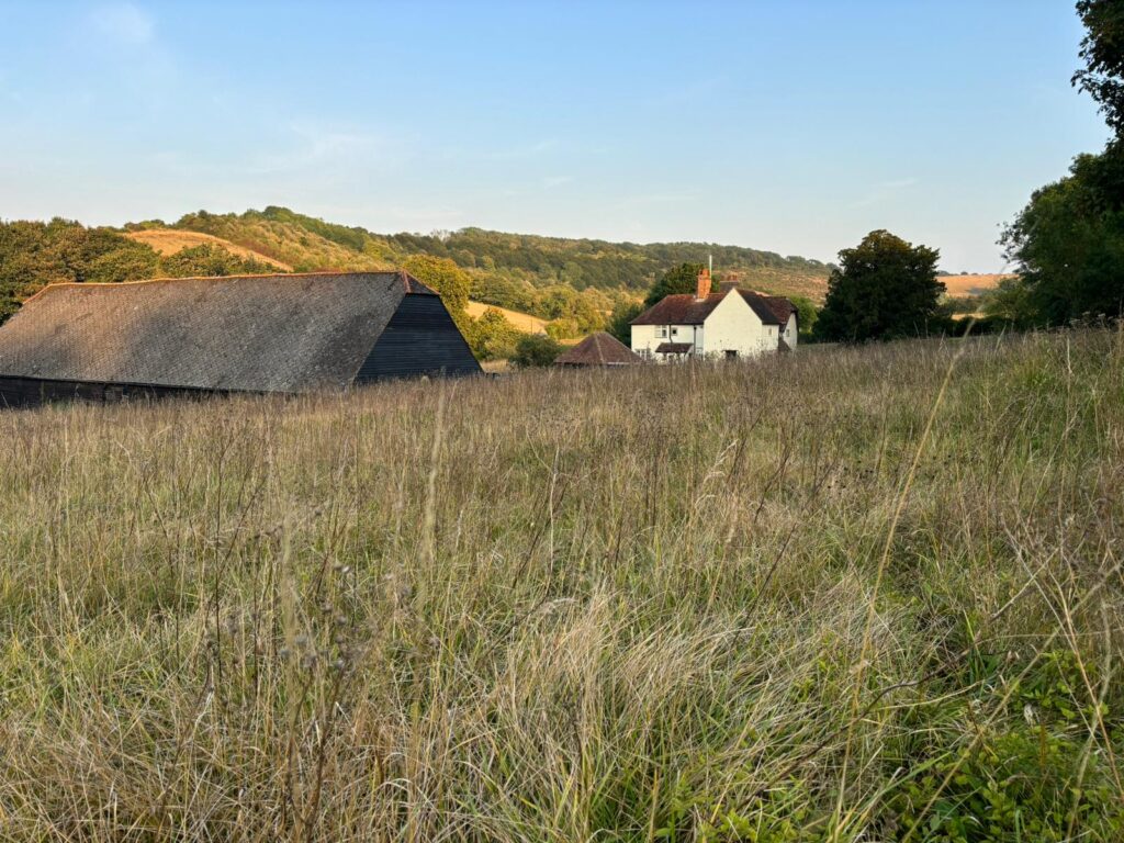 Austin Farm | For filming and photoshoots | Farm Locations