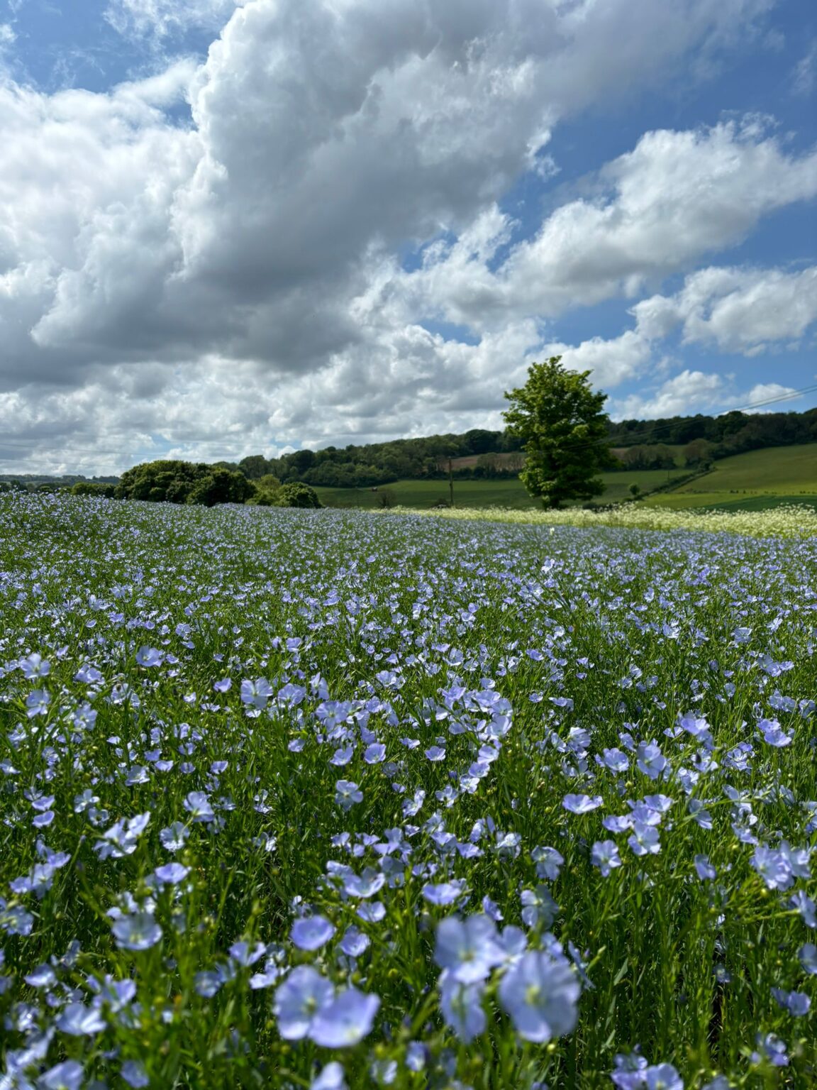 Austin Farm, DA4 - Farm Locations