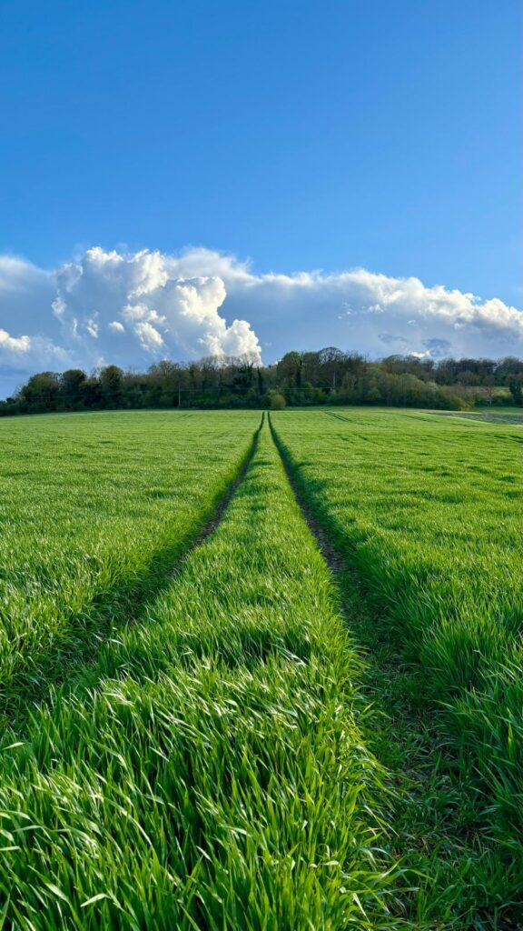 Austin Farm | For filming and photoshoots | Farm Locations