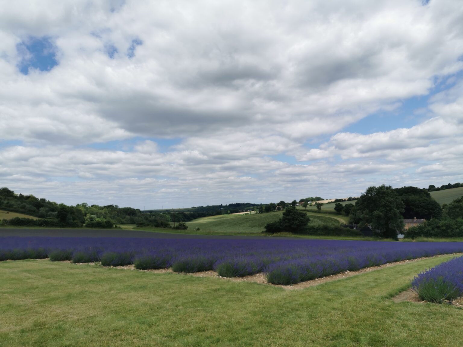 Austin Farm, DA4 - Farm Locations