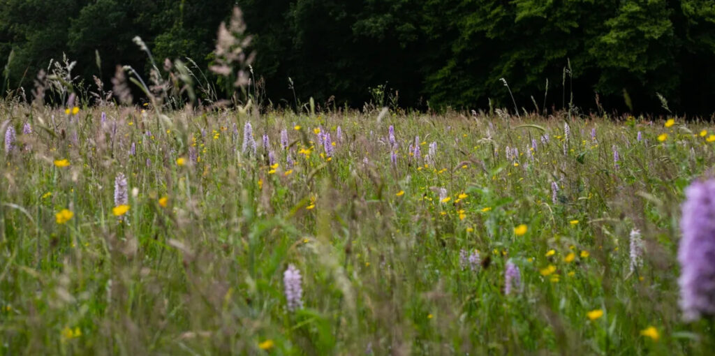 Float Farm | Farm Location Kent | For Filming and Photoshoots