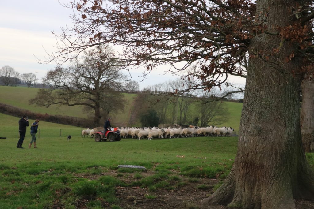 Hare Farm for Film & Photoshoots | Farm Location Sussex
