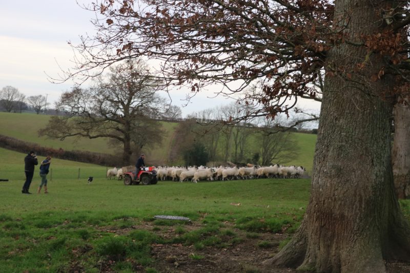 Hare Farm for Film & Photoshoots | Farm Location Sussex
