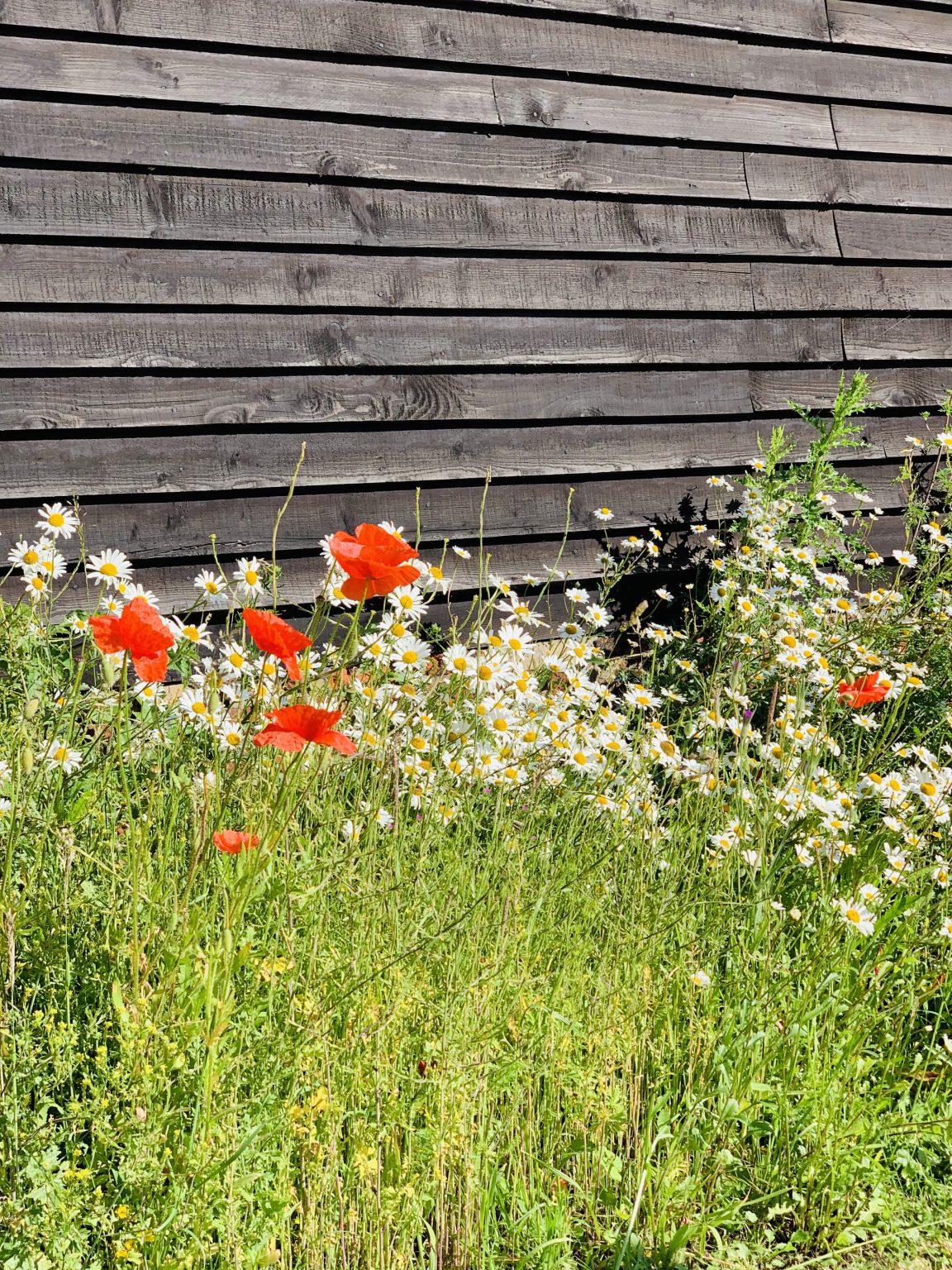 Austin Farm, DA4 - Farm Locations