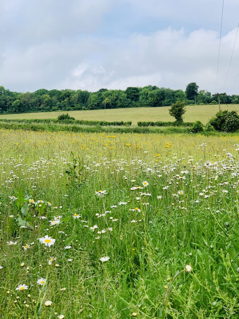 Austin Farm, DA4 - Farm Locations
