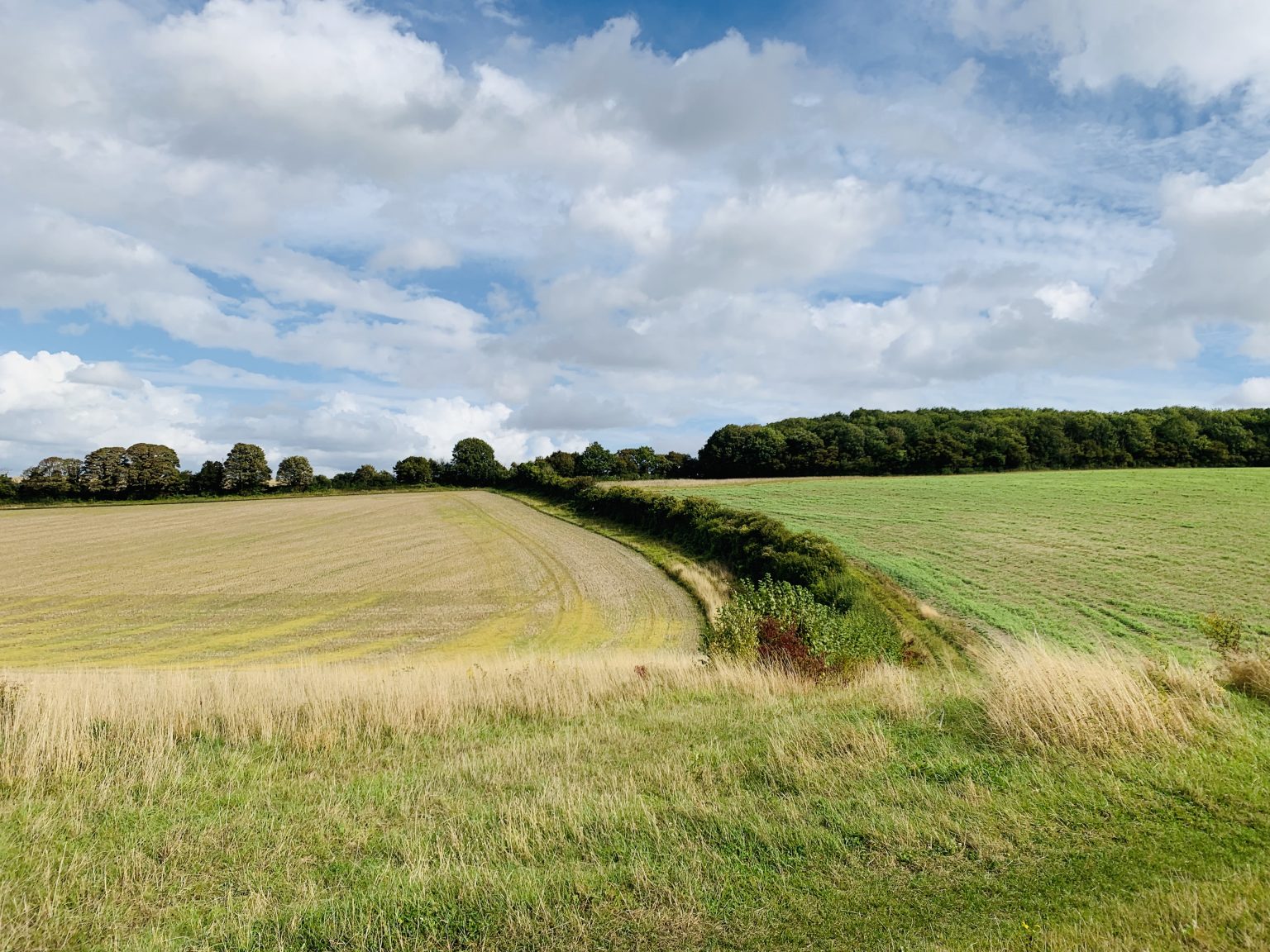 Austin Farm, DA4 - Farm Locations
