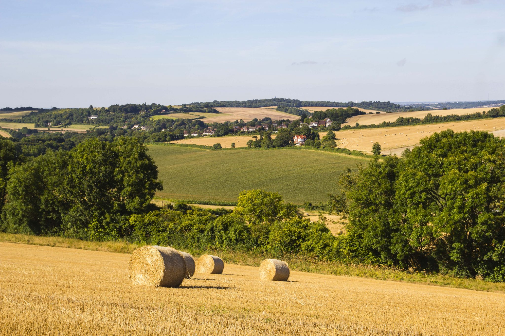 Austin Farm | For filming and photoshoots | Farm Locations