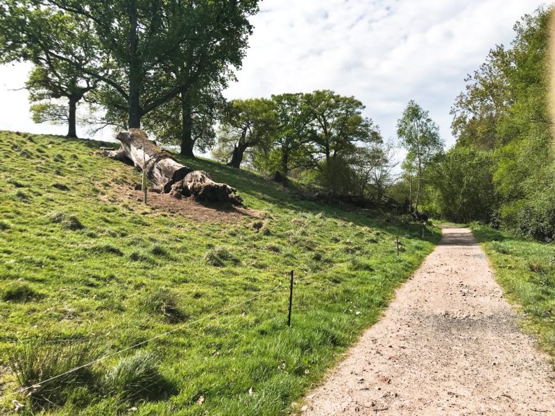 Clavering Park | For filming and photoshoots | Farm Locations