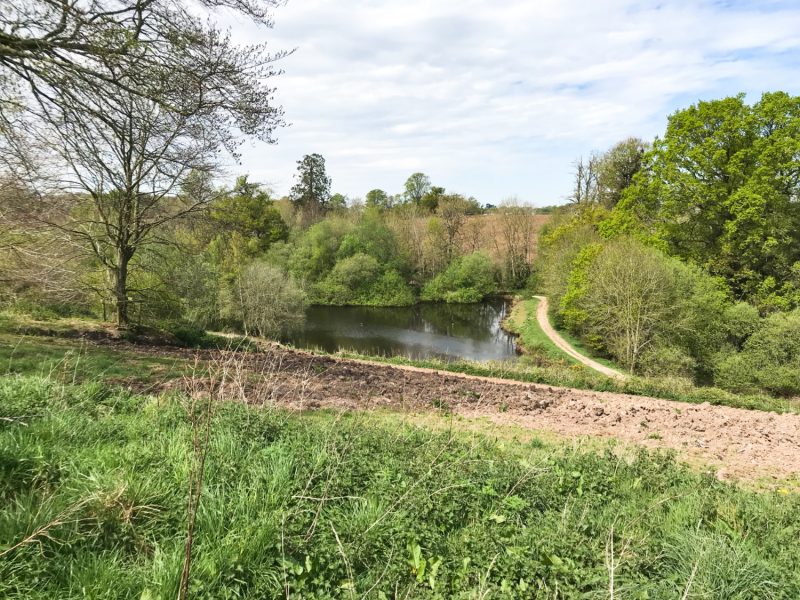Clavering Park | For filming and photoshoots | Farm Locations
