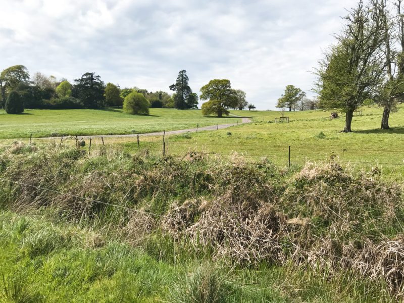 Clavering Park | For filming and photoshoots | Farm Locations