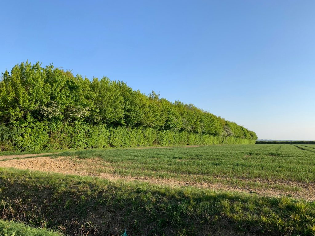 Church Farm | For Hire for Filming and Photoshoots | Farm Location Essex