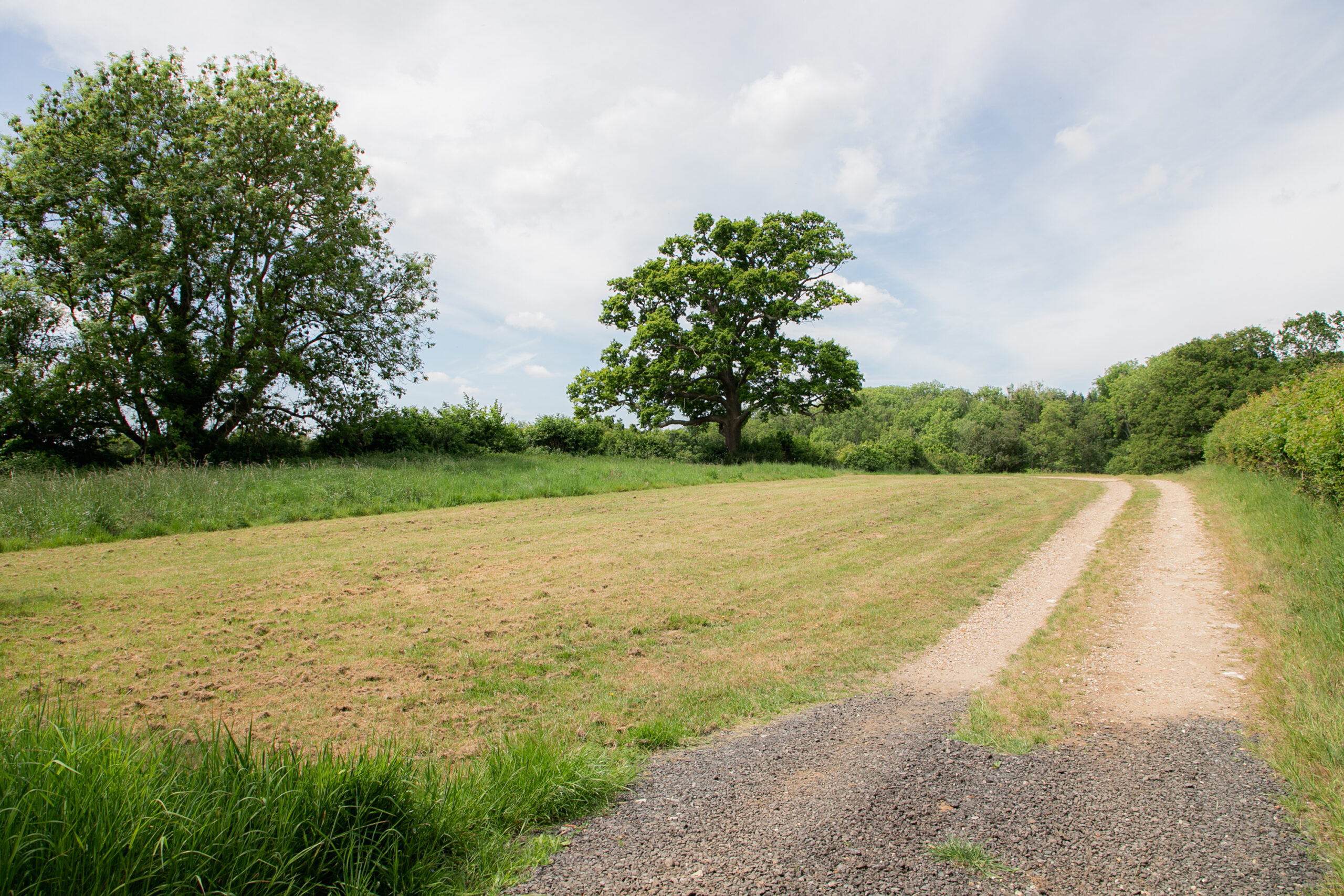 Nightingale Farm | Hire for film and photoshoots | Farm Locations
