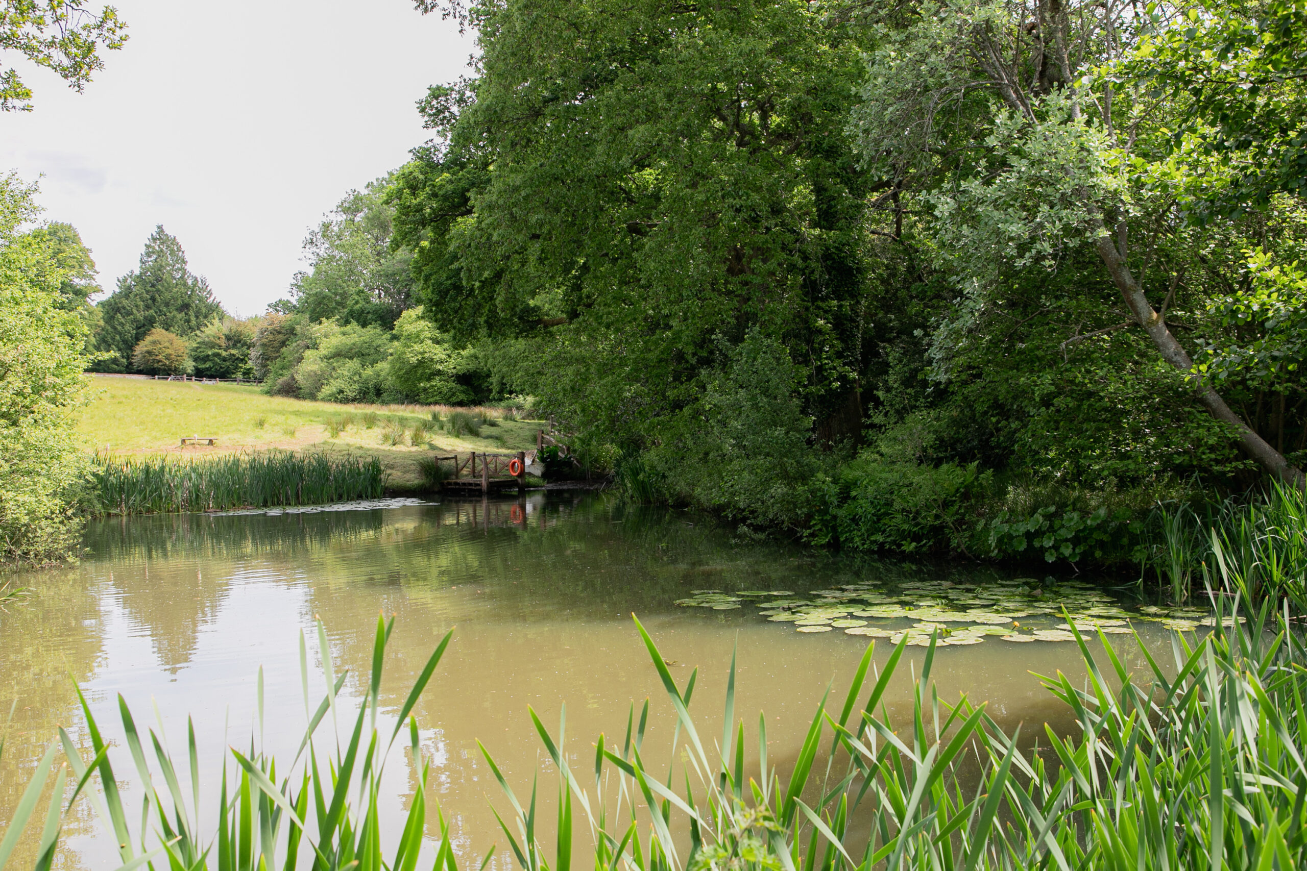 Nightingale Farm | Hire for film and photoshoots | Farm Locations