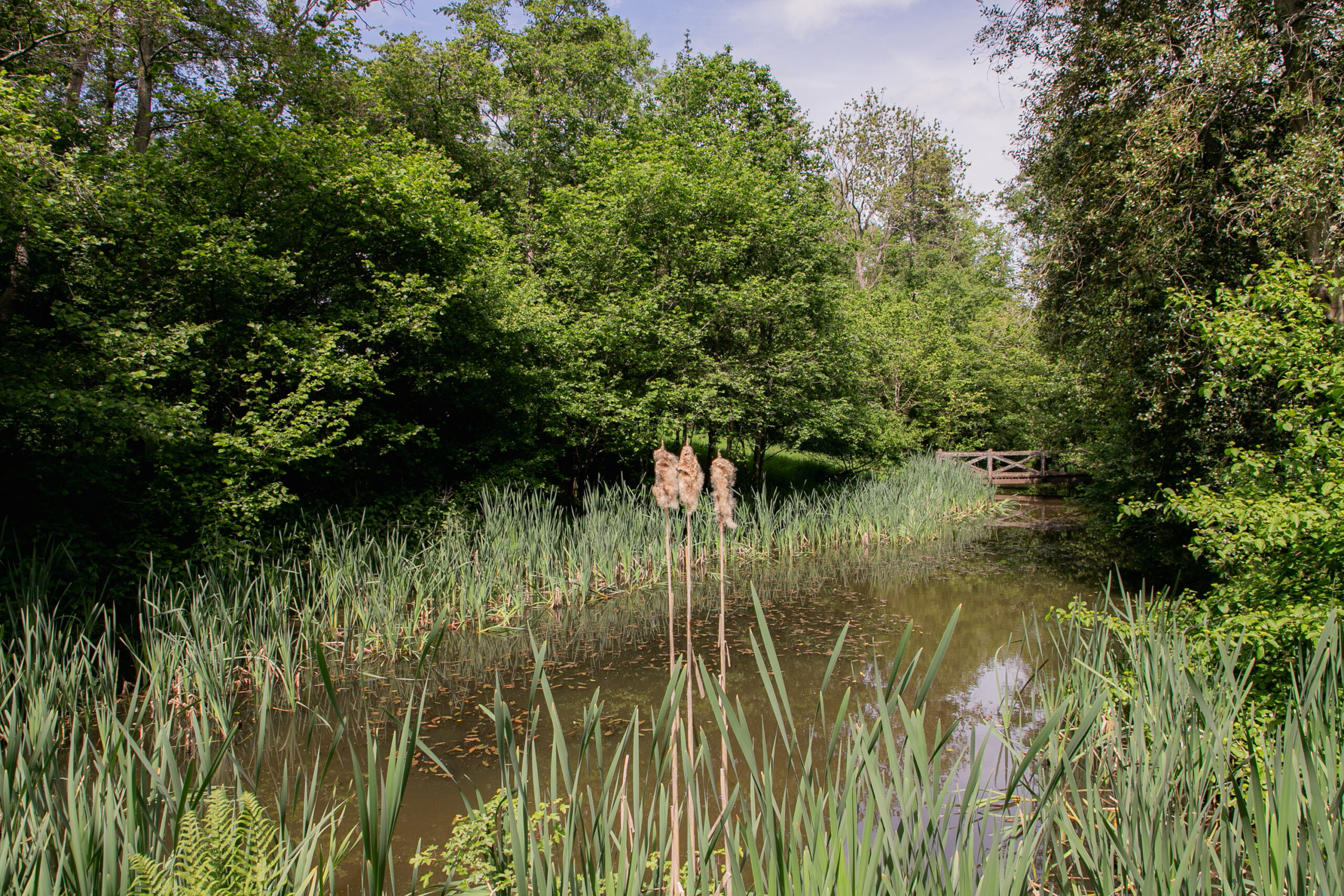 Nightingale Farm | Hire for film and photoshoots | Farm Locations