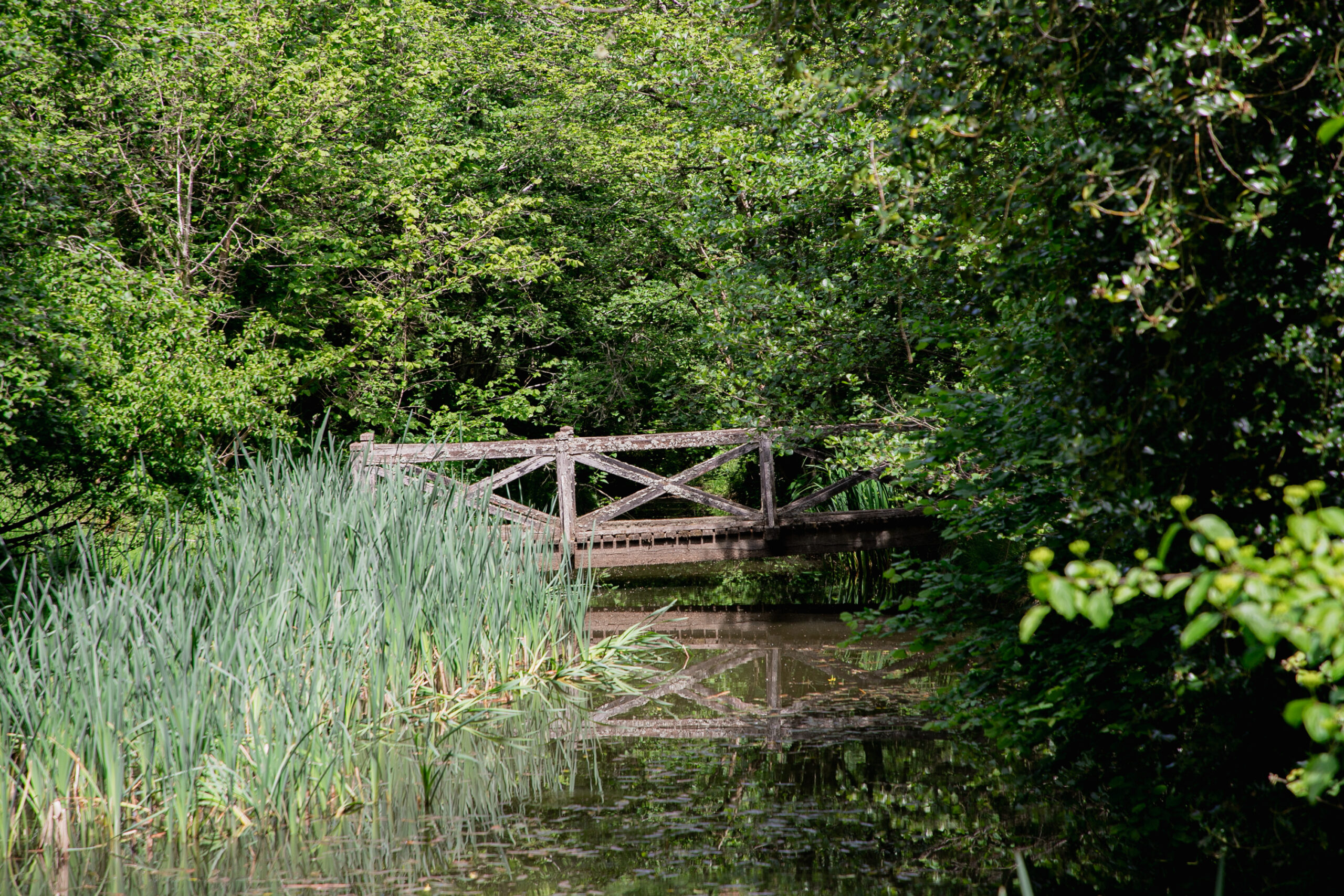Nightingale Farm | Hire for film and photoshoots | Farm Locations