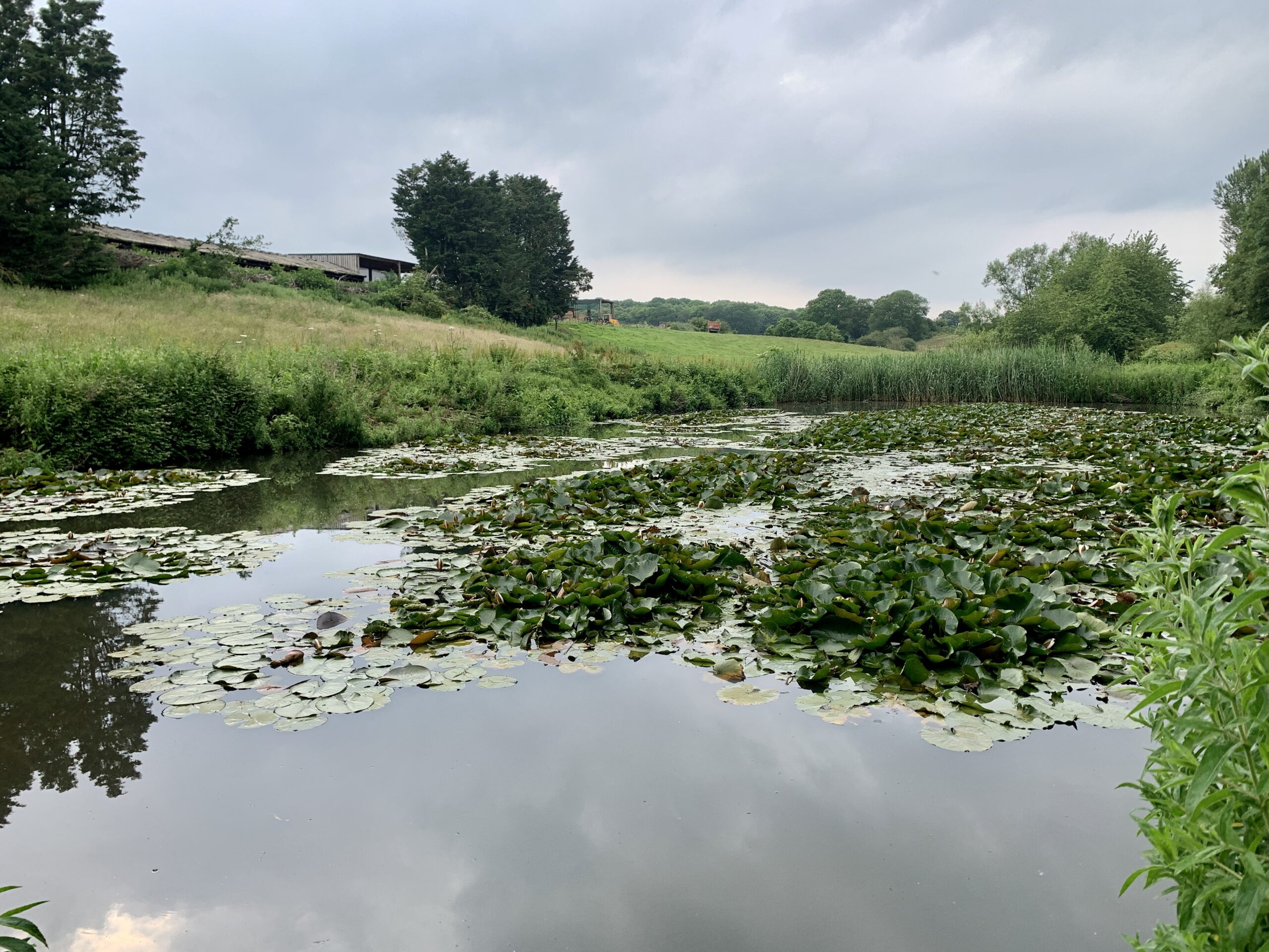 Champion Farm | Farms near London for Filming and Photoshoots