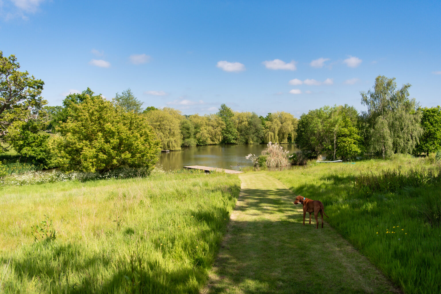 Paddle Farm | For hire for filming and photoshoots | Farms in Kent