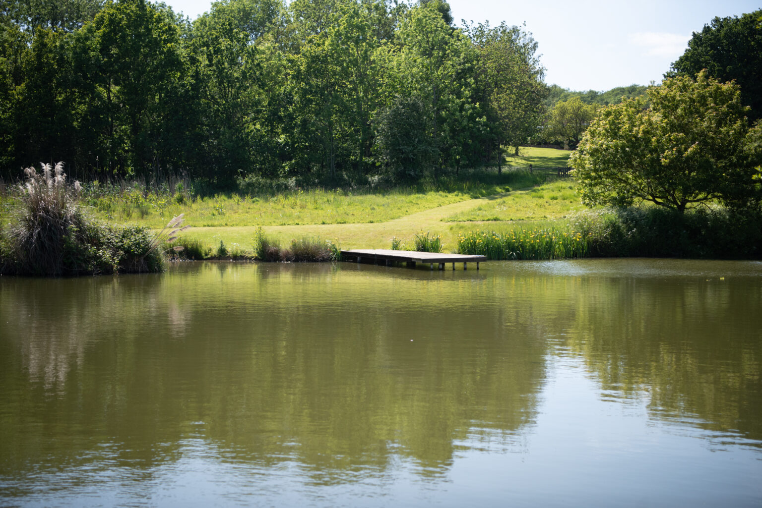 Paddle Farm | For hire for filming and photoshoots | Farms in Kent