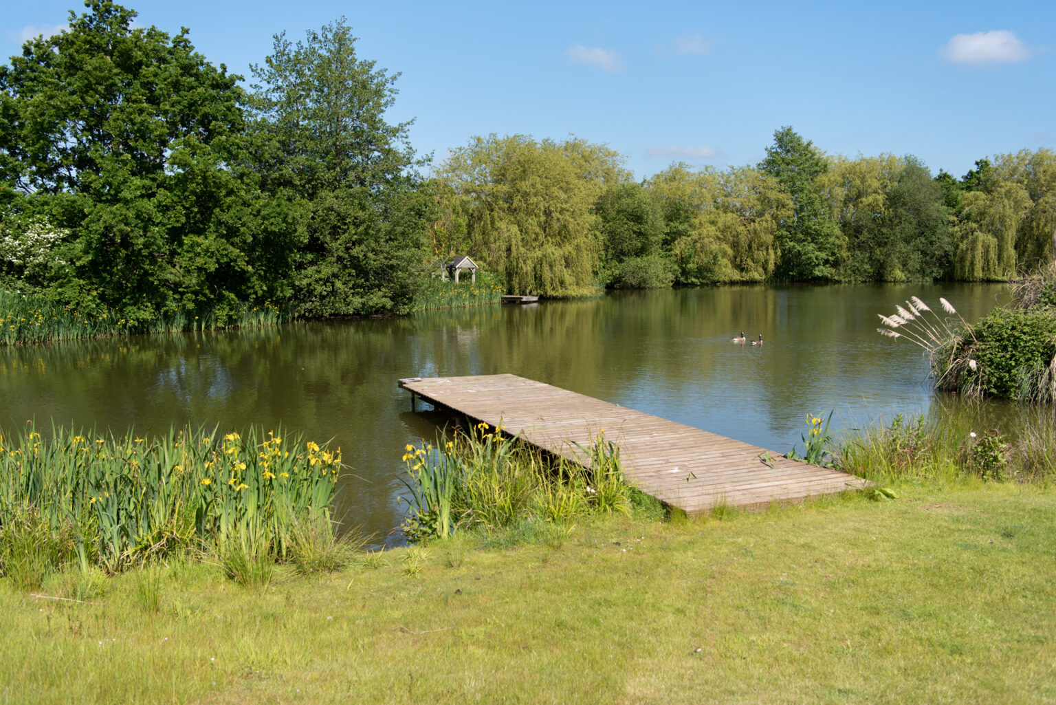 Paddle Farm | For hire for filming and photoshoots | Farms in Kent