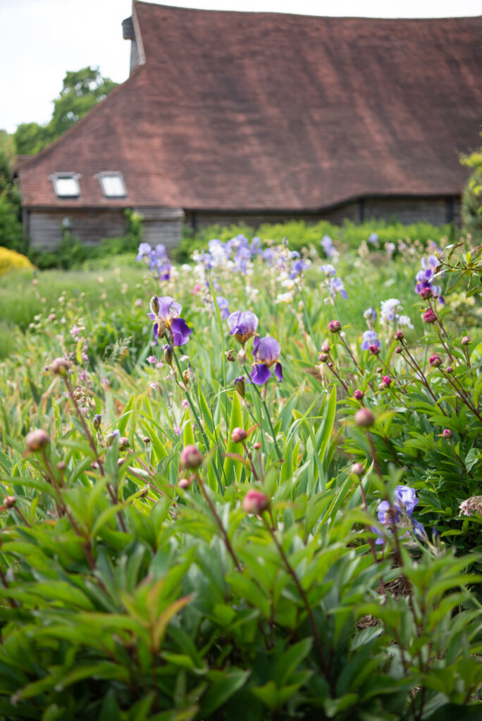 Paddle Farm | For hire for filming and photoshoots | Farms in Kent