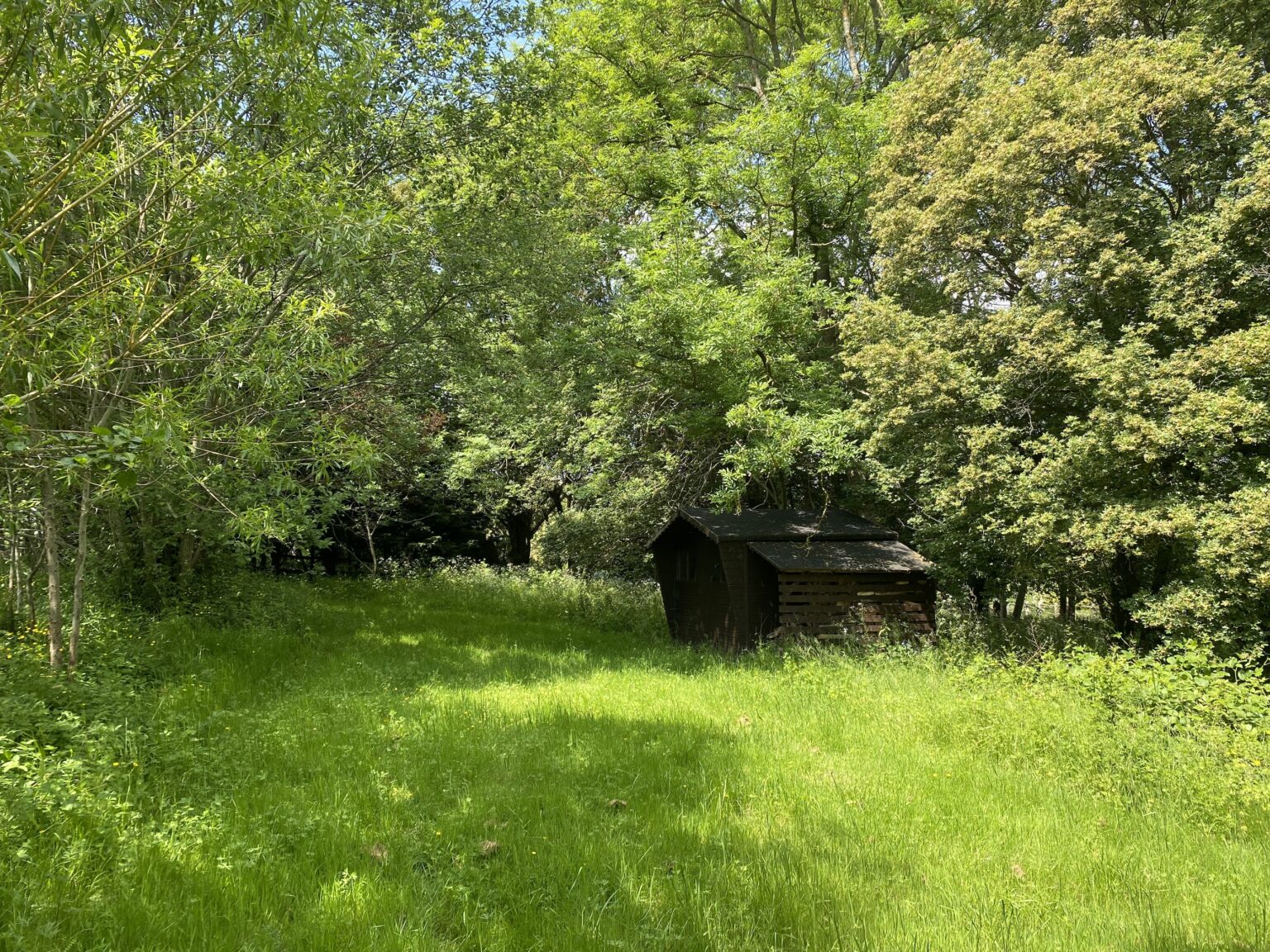 Paddle Farm | For hire for filming and photoshoots | Farms in Kent