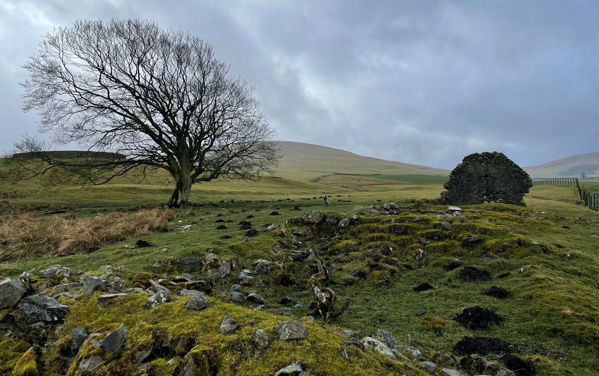 Clyde Valley Farm | For hire for filming and photoshoots | Scotland