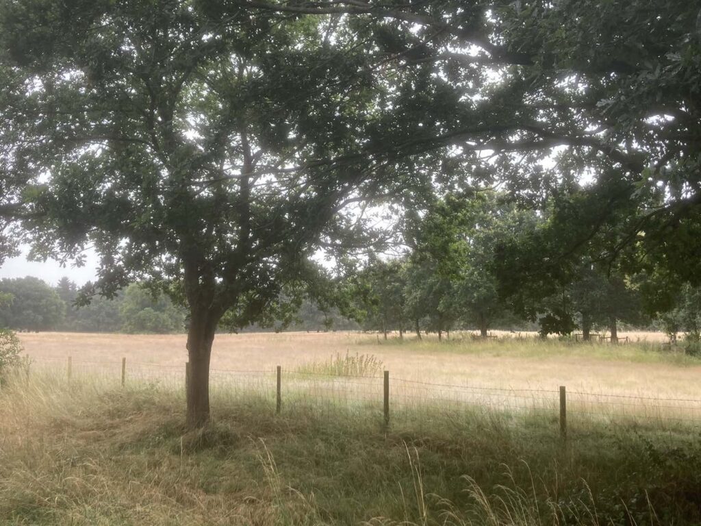 Victorian Farm | For hire for filming and photoshoots | Essex
