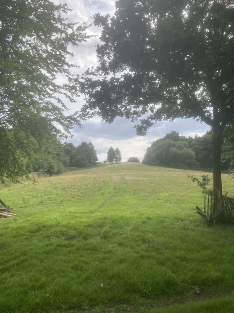 Victorian Farm | For hire for filming and photoshoots | Essex