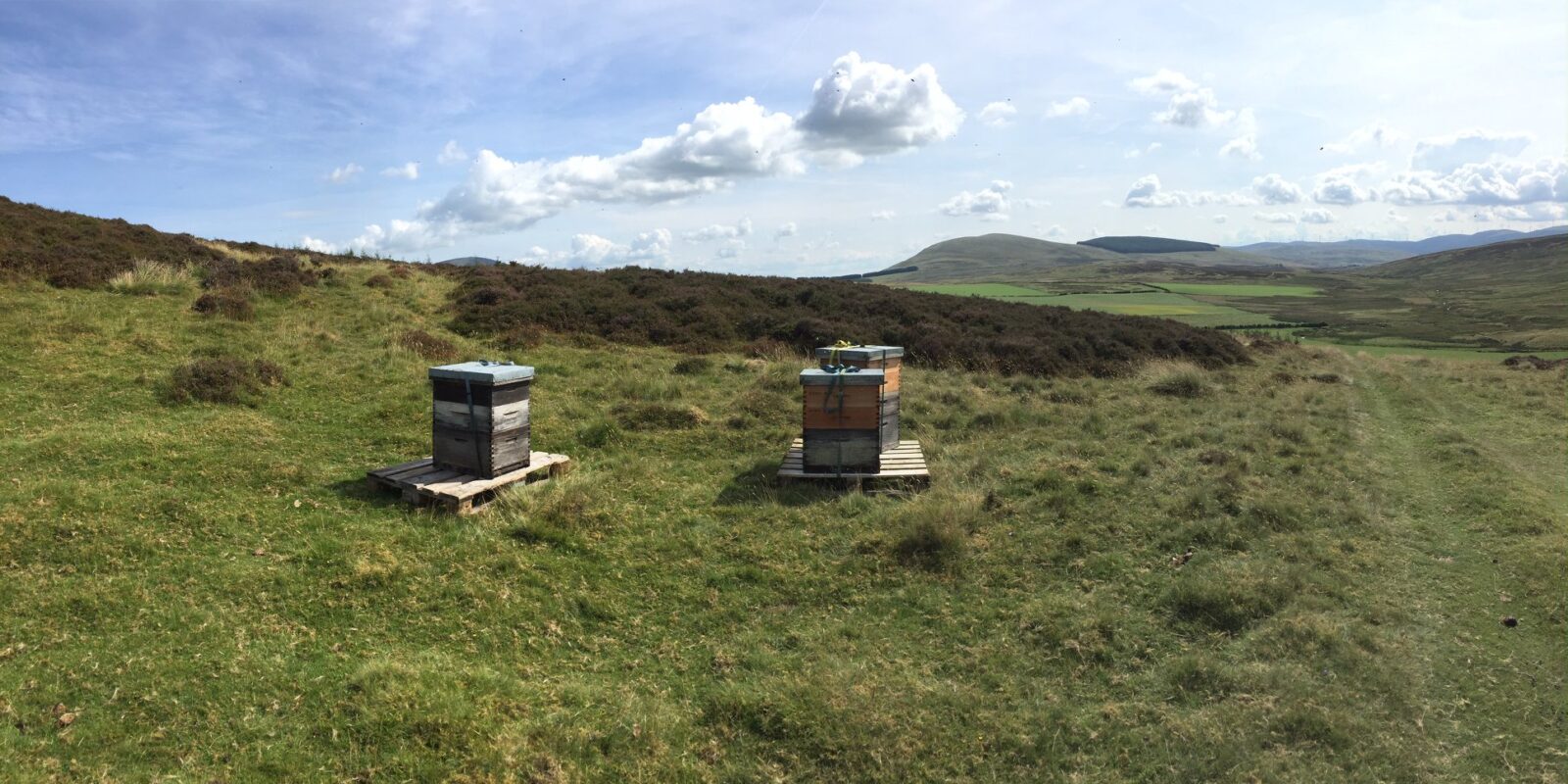 Heather Estate | For hire for filming and photoshoots | Scotland