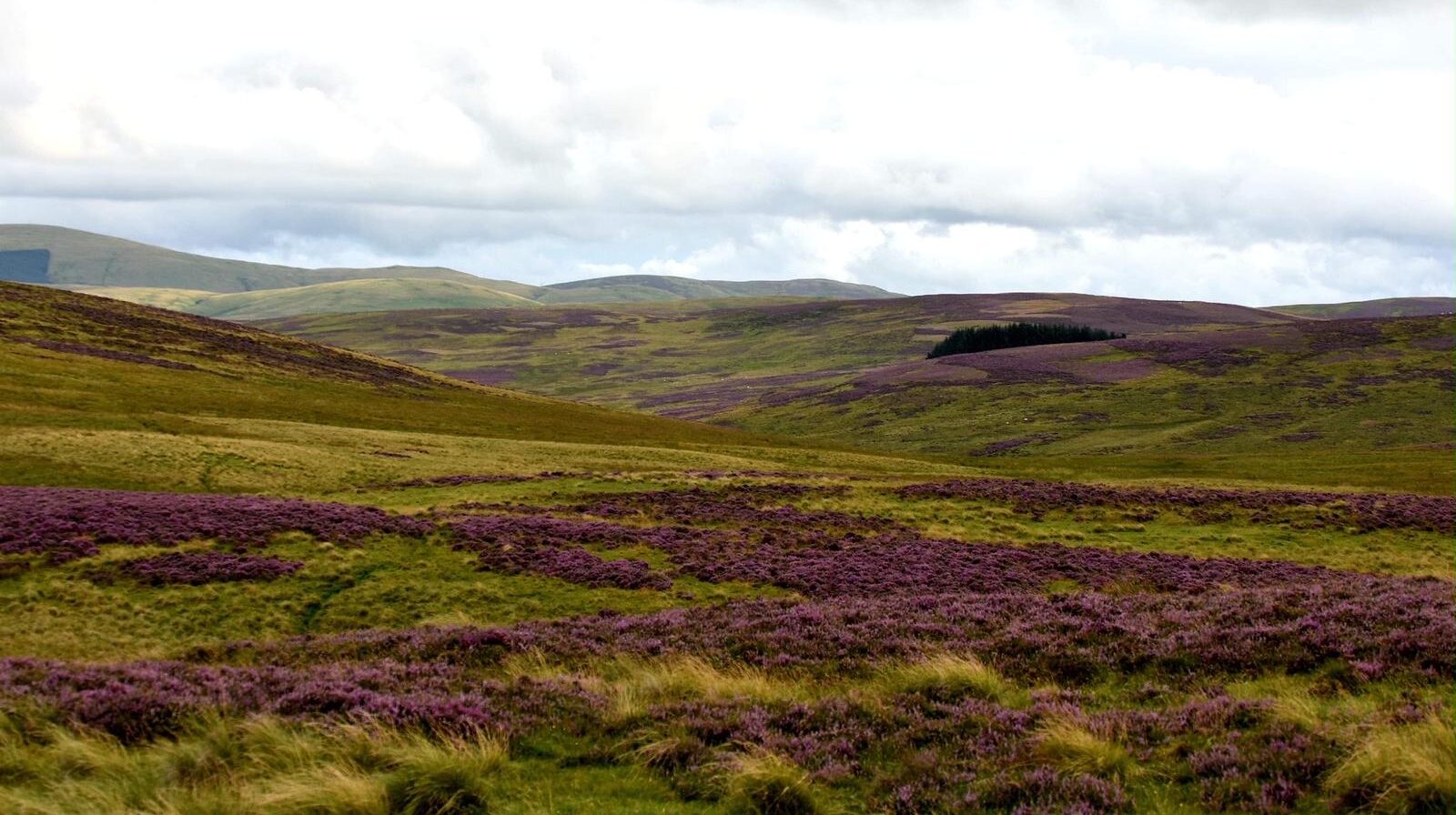 Heather Estate | For hire for filming and photoshoots | Scotland