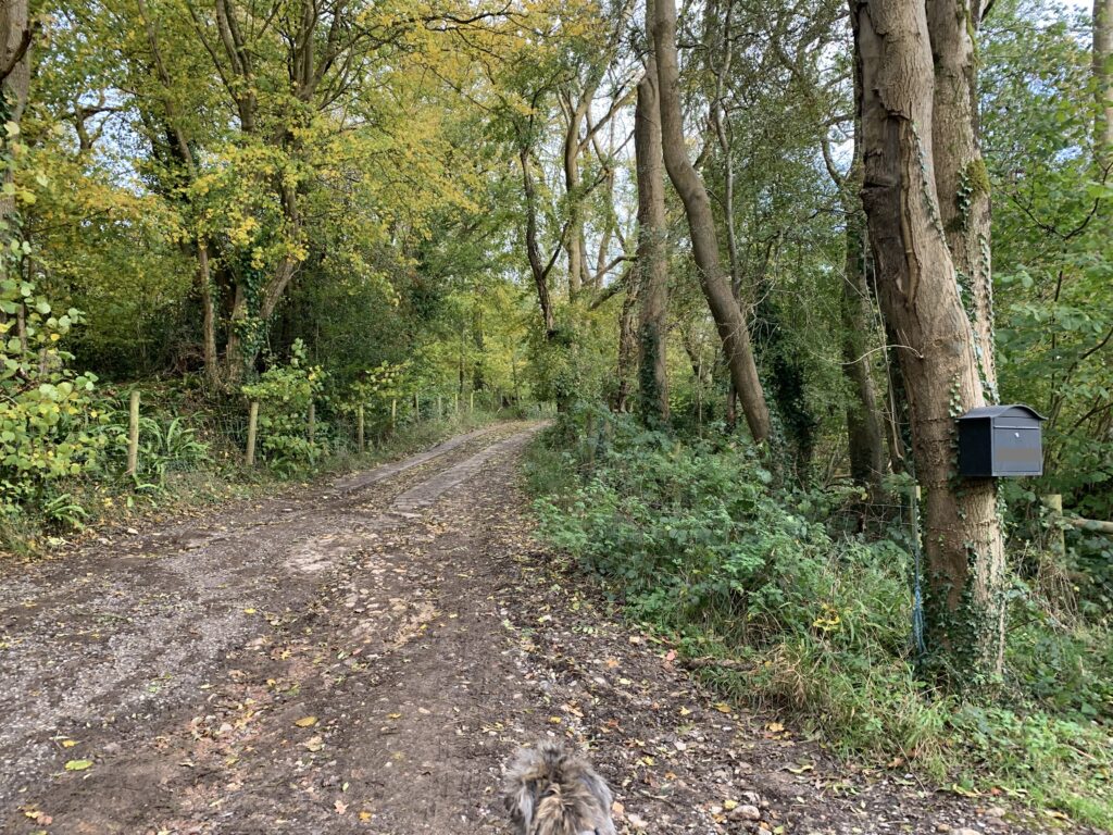 Ten Acre Woods | Filming + photoshoot hire | House in the Woods