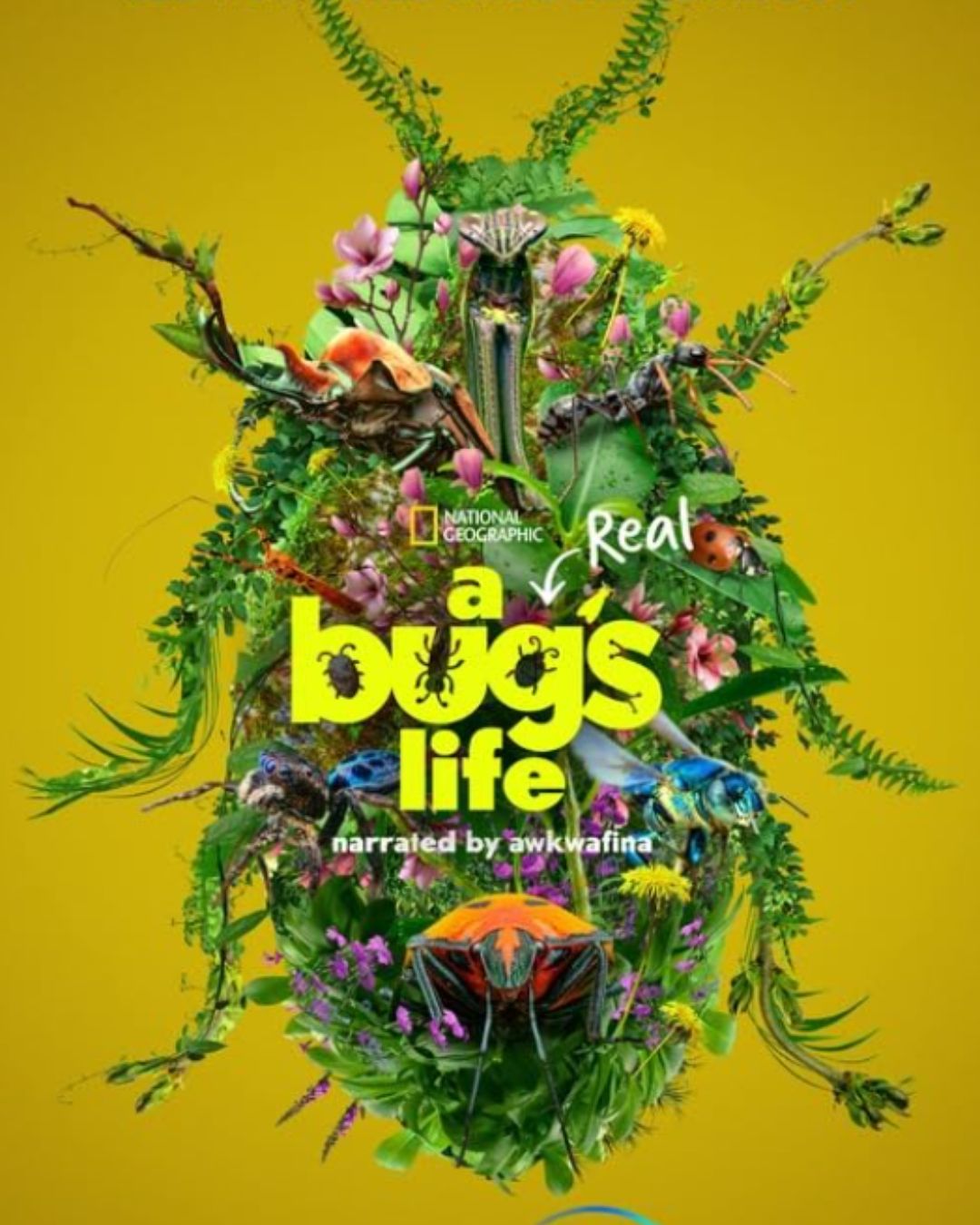 National Geographic - A Real Bug's Life (2024) - Farm Locations