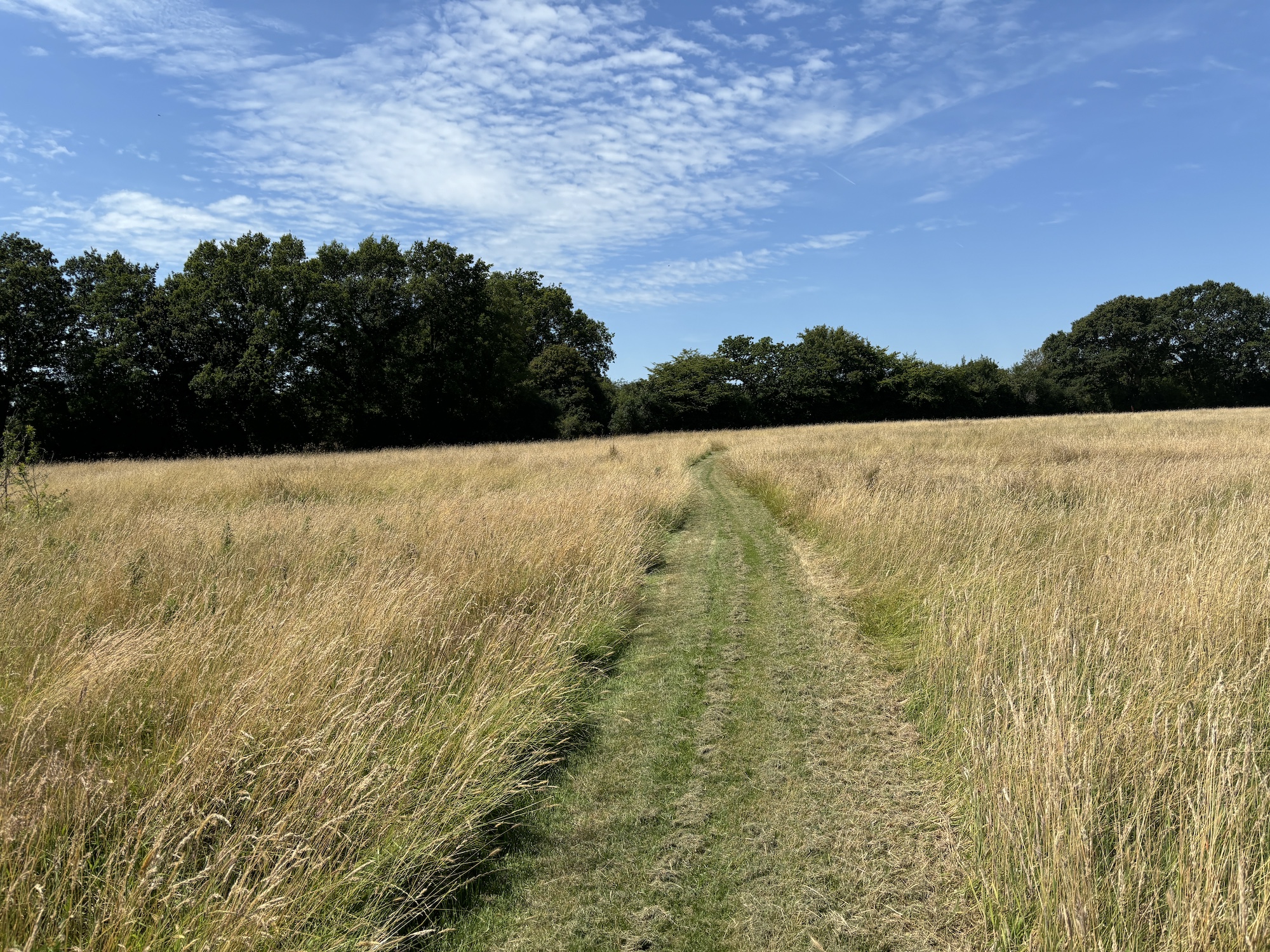 Know Farms Best | Farm Locations | For film, stills and TV