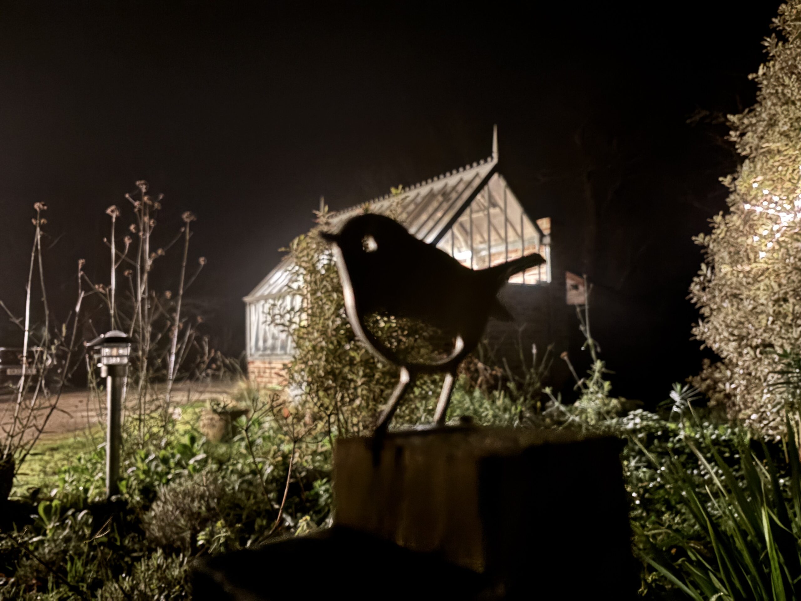 From 2024 to 2025. The Robin shows the way. - Farm Locations