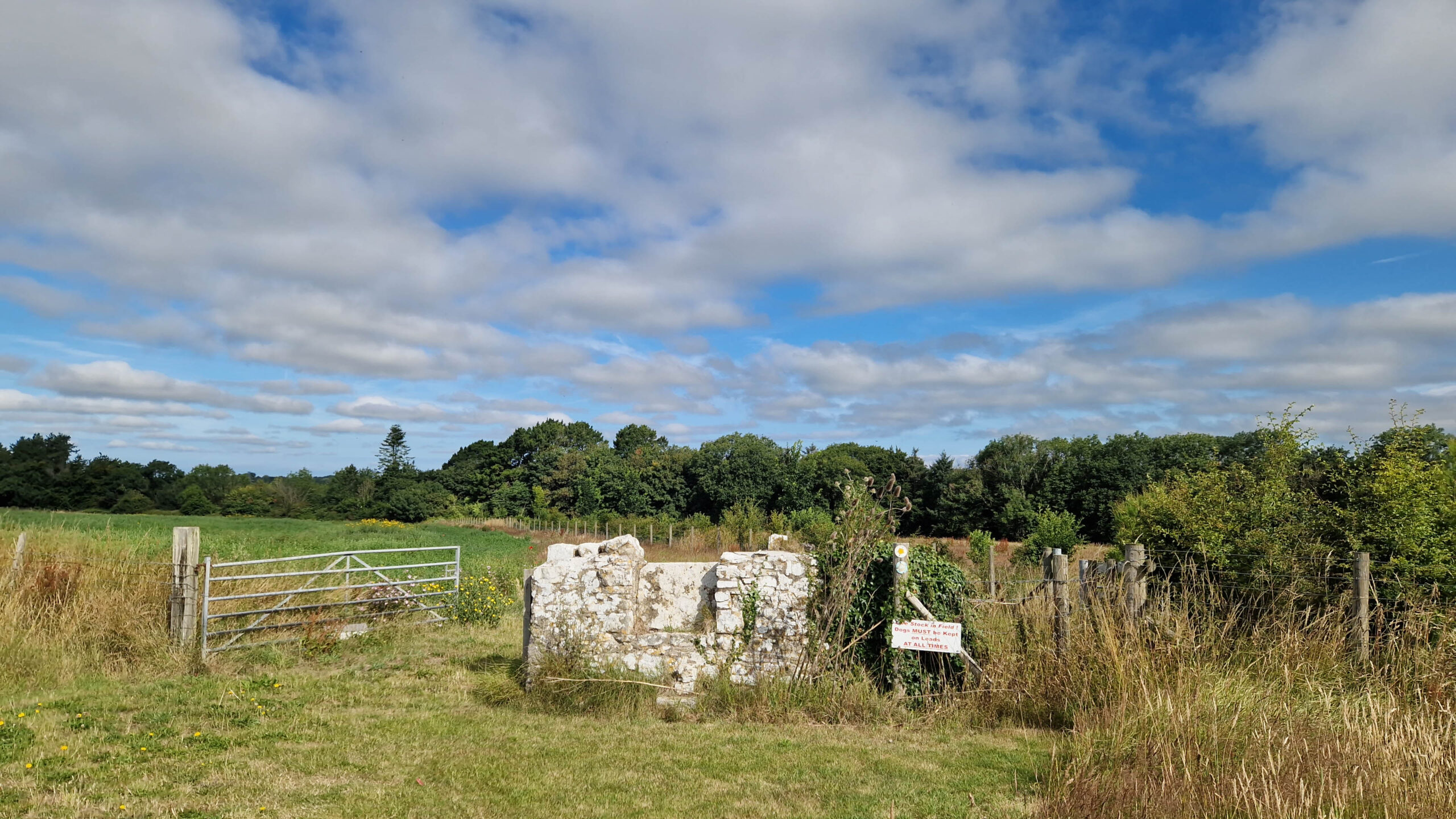 Greystone Farm | For Filming & photoshoots | Farm Locations