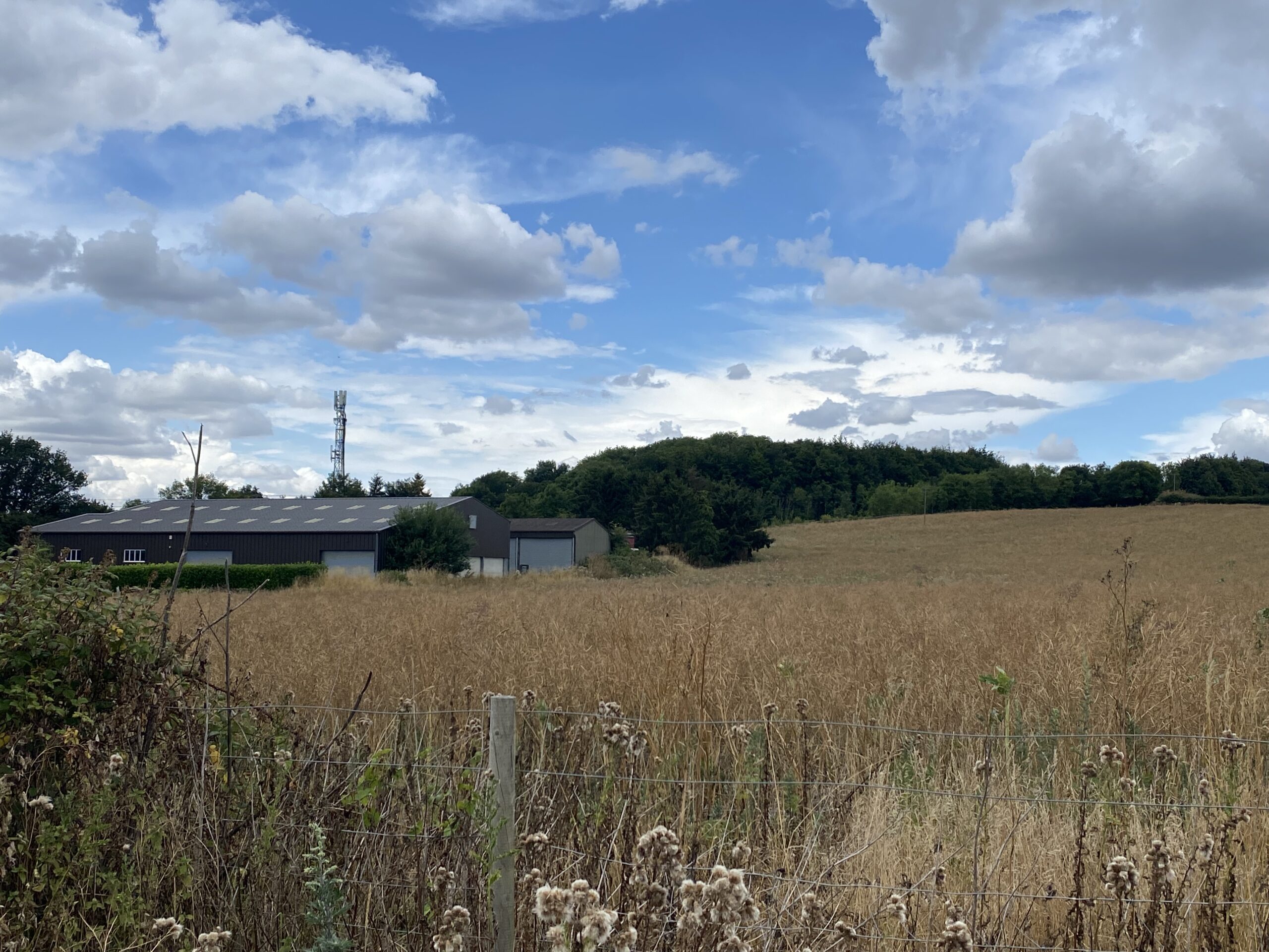 Bramble Farm | For filming & photoshoots | Farm Locations