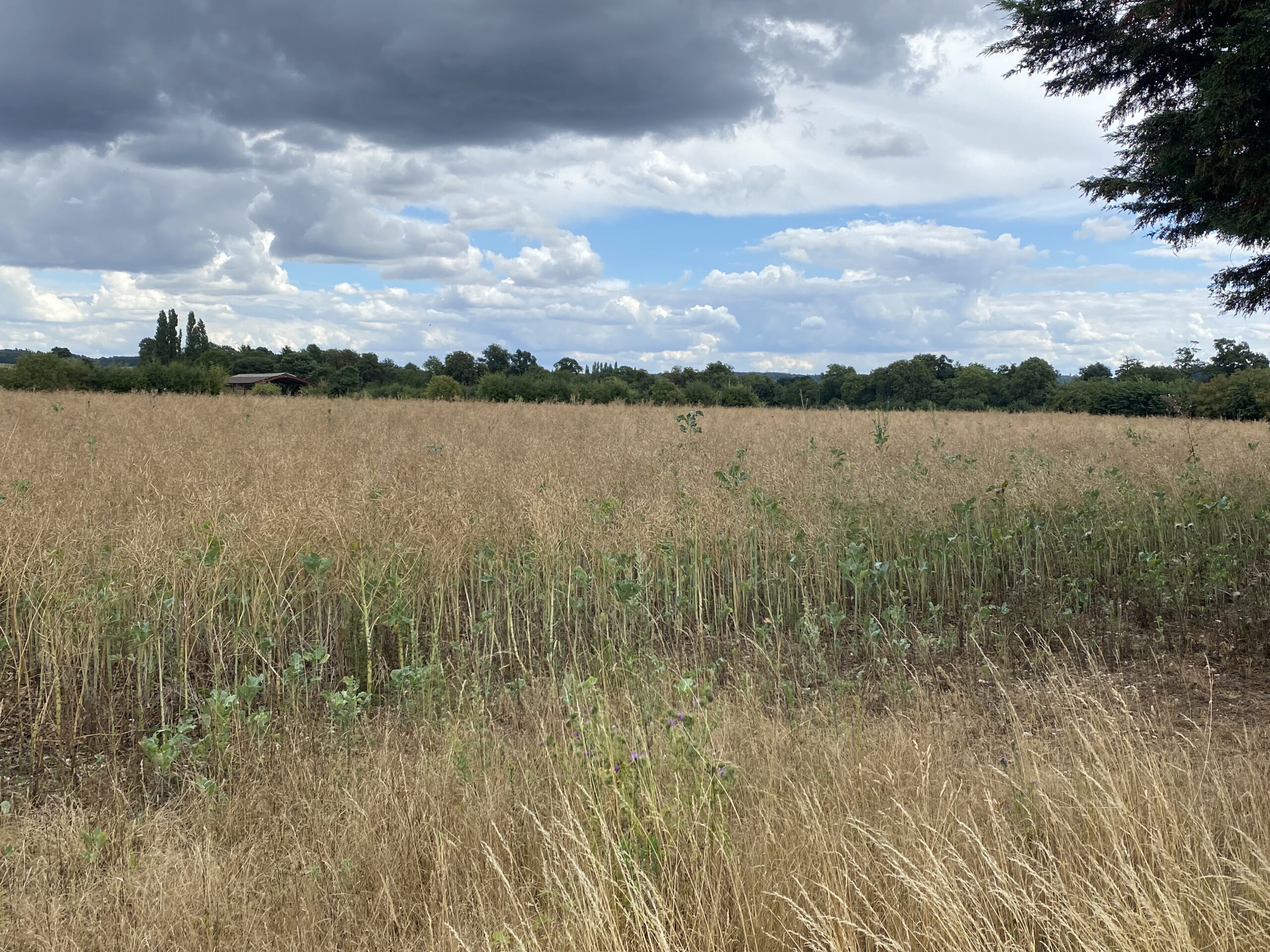 Bramble Farm | For filming & photoshoots | Farm Locations