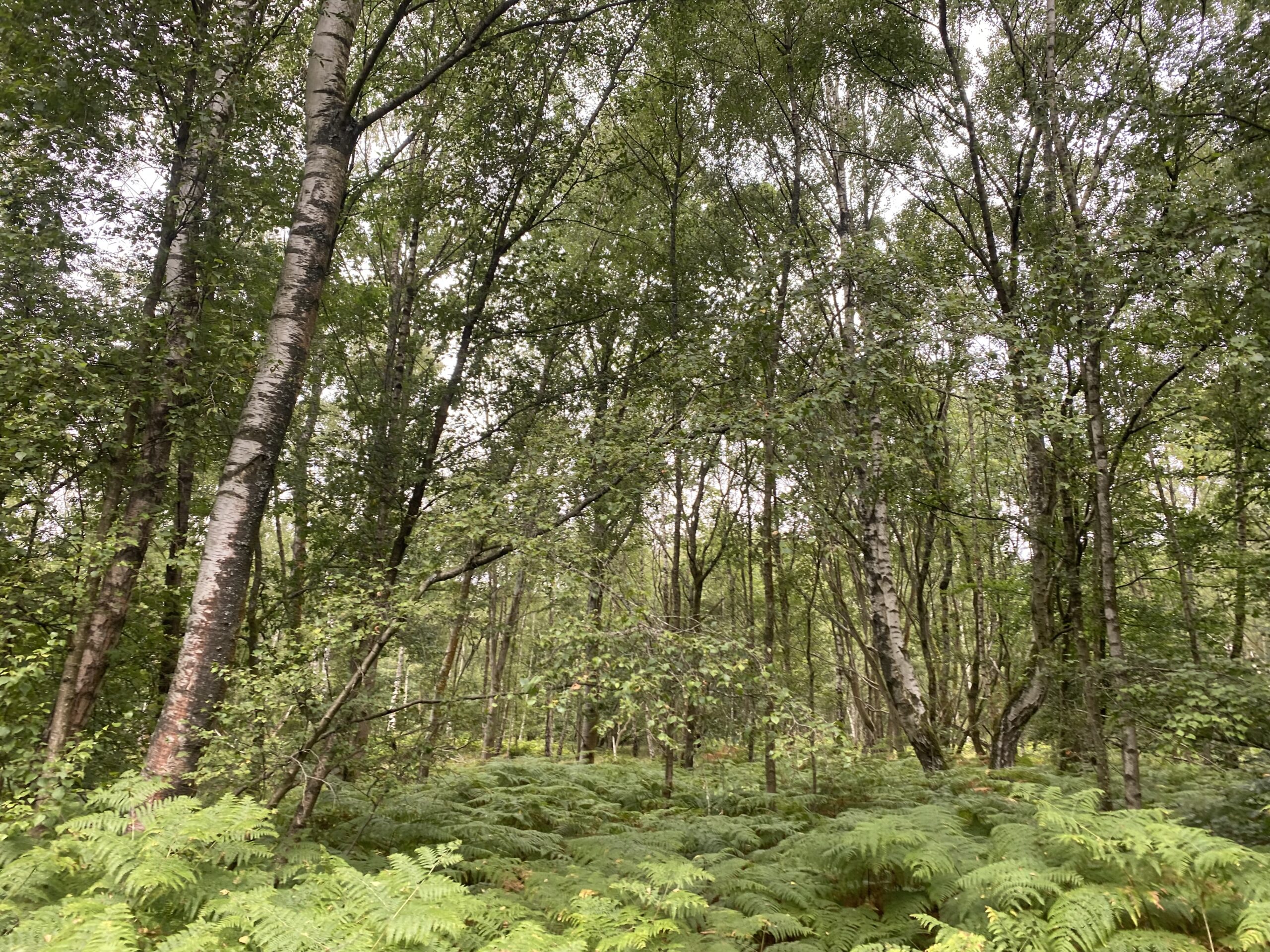 Bramble Farm | For filming & photoshoots | Farm Locations