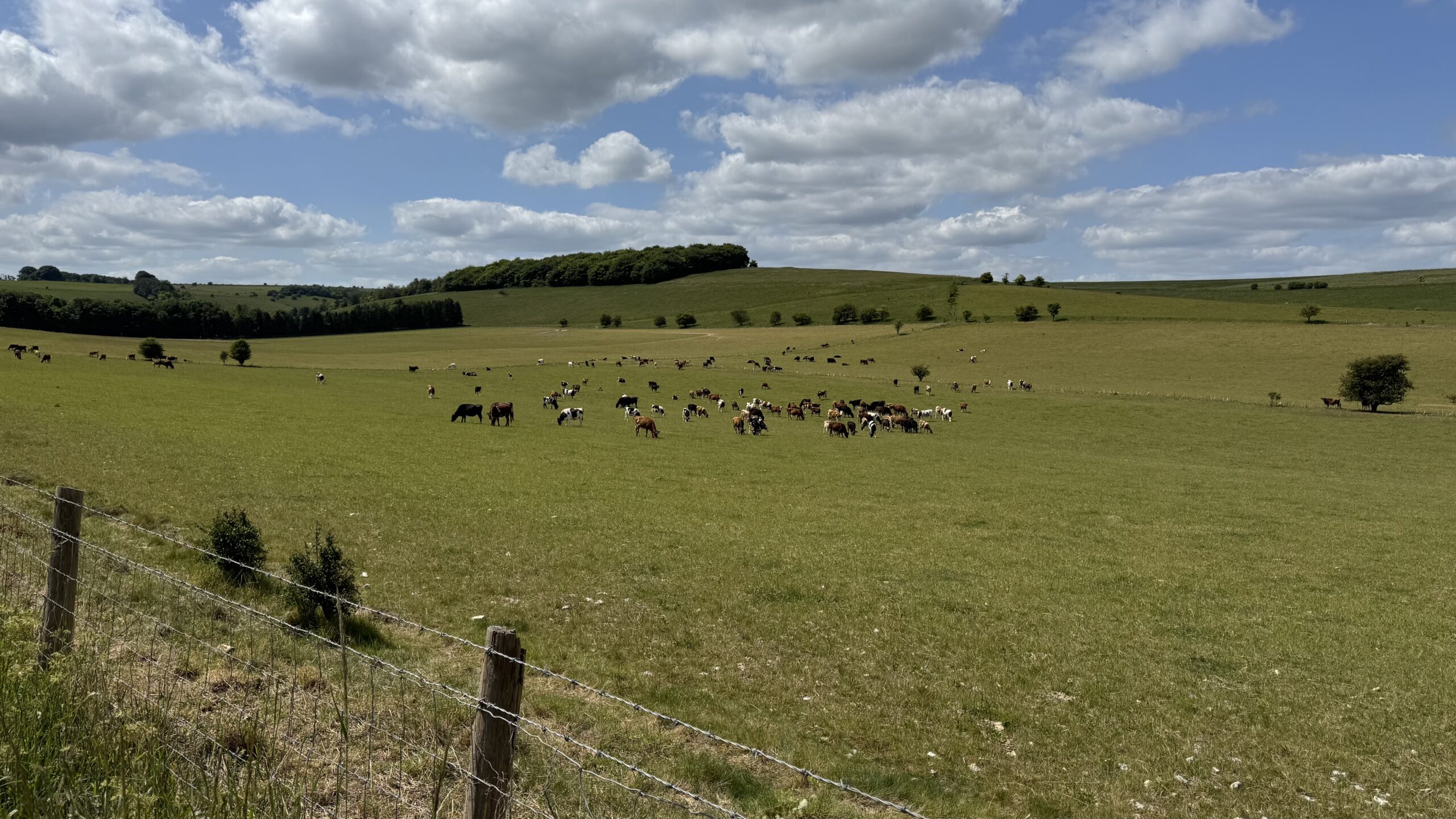 Sentinel Manor Farm | For Filming & Photoshoots | Farm Locations