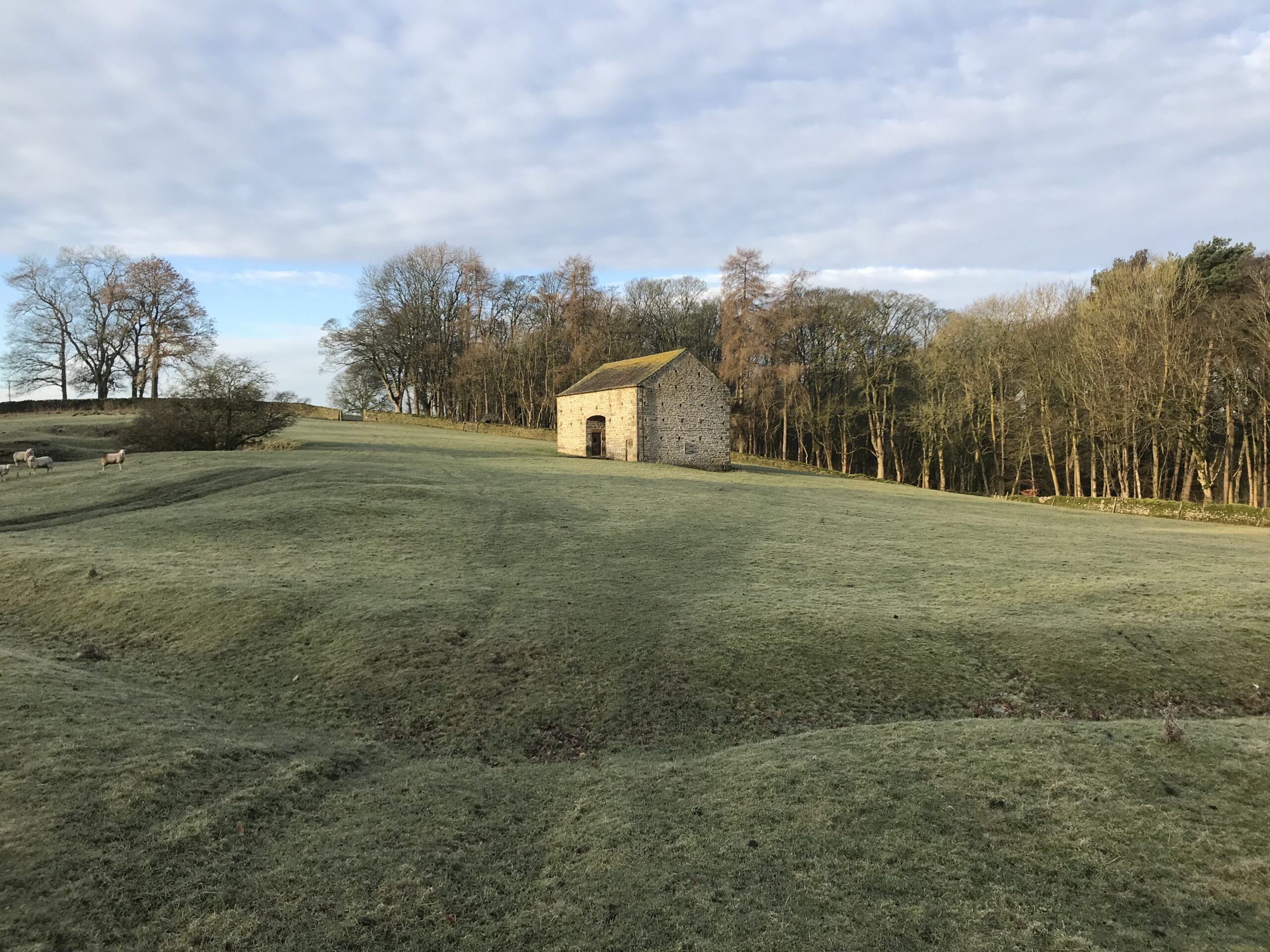 Tawny Estate | For filming and photoshoots | Farm Locations