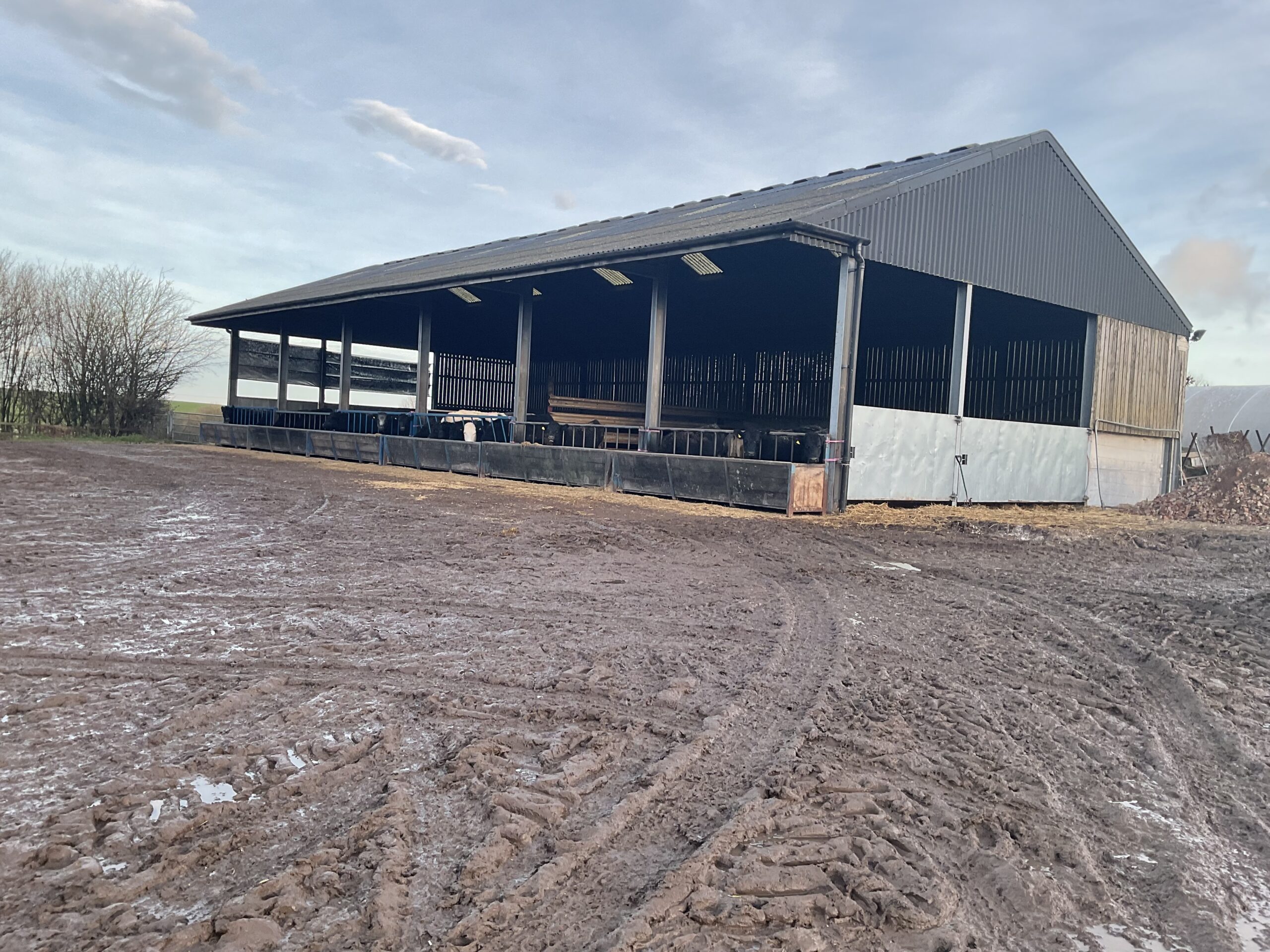Greendale Farm | For filming and photoshoots | Farm Locations